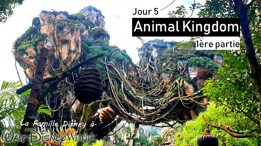Matinée à Animal Kingdom: vol à Pandora et safari en Afrique – GO WDW