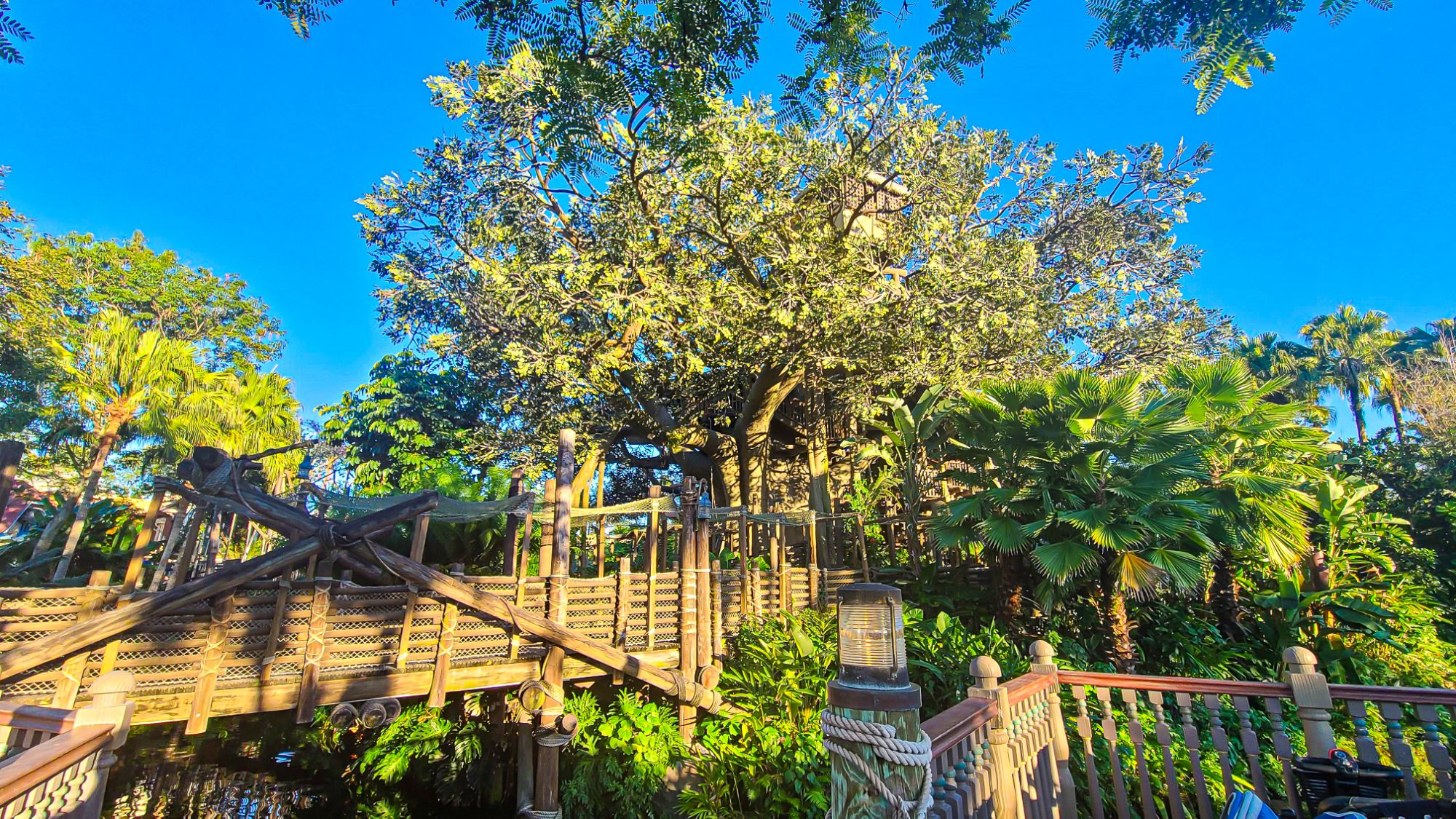 Peu de visiteurs la font, et pourtant… découvrez Swiss Family Treehouse ...